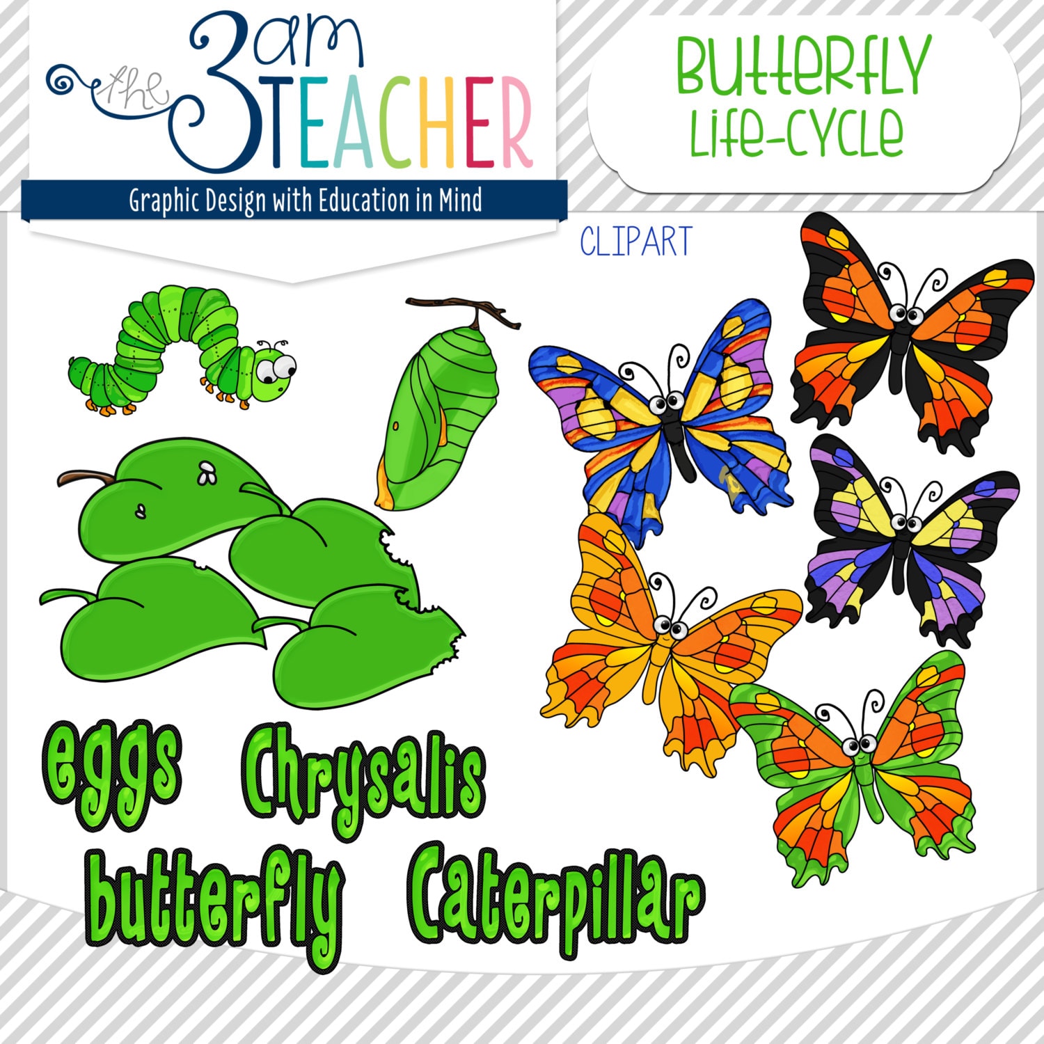 Life Cycle Of A Caterpillar Clipart