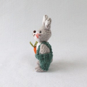 Knitted Bunnies With Carrots Set - Etsy