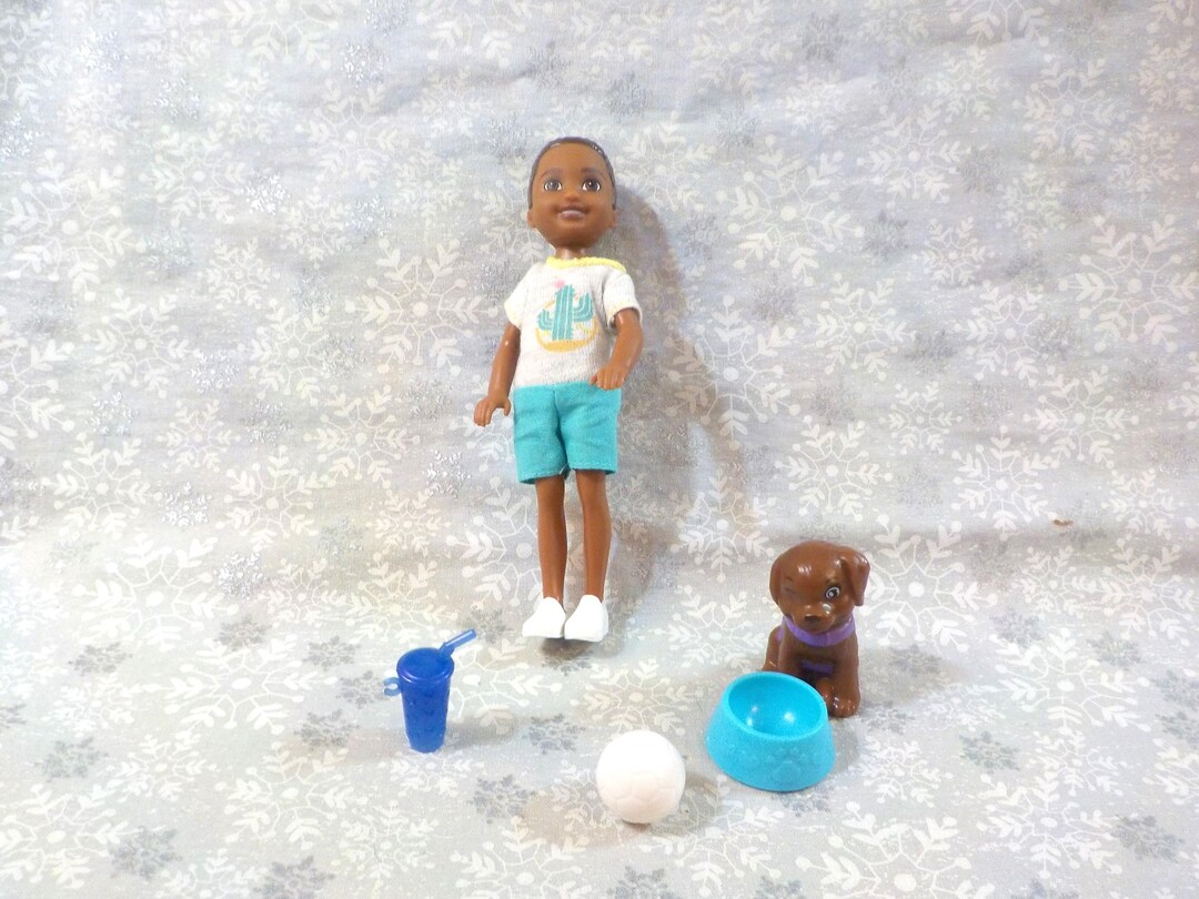 Barbie's Little Brother Doll -DARRIN Doll - W/accessories - Pre-owned ...