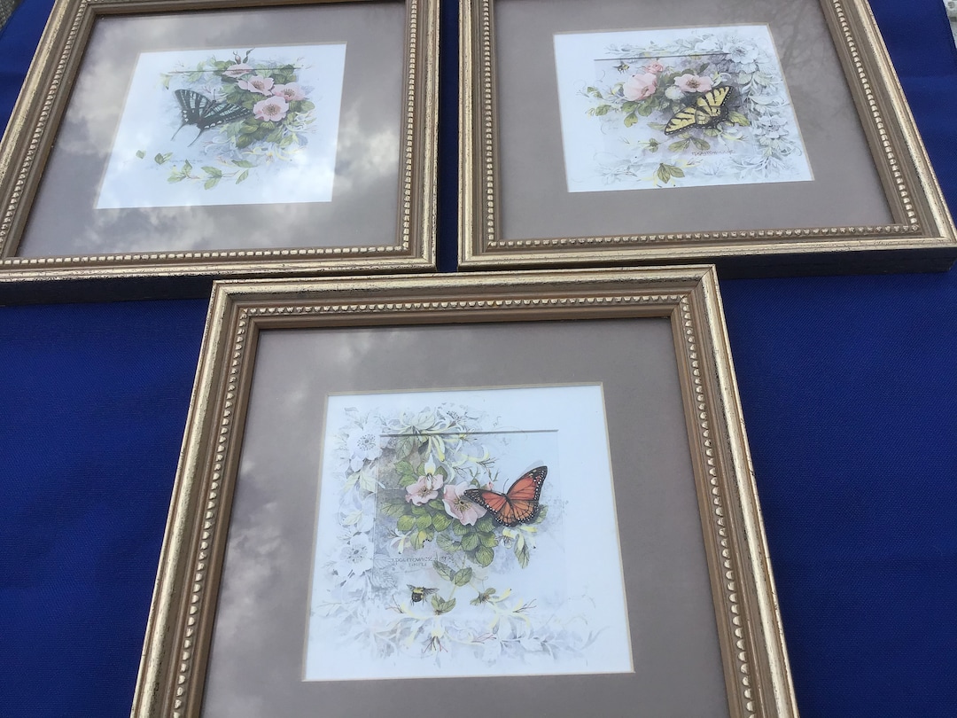 Vintage Butterfly Prints in Gold Weathered Frame With Glass - Etsy