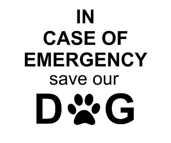 In Case of Emergency Save My Pet Window Decal Emergency - Etsy