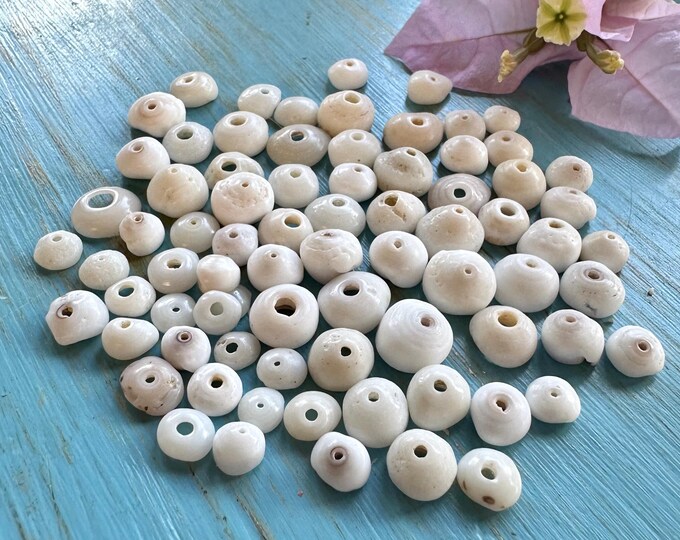 Small White Puka Shells From Kaua'i, set of 75 6-11mm, 006 - Etsy