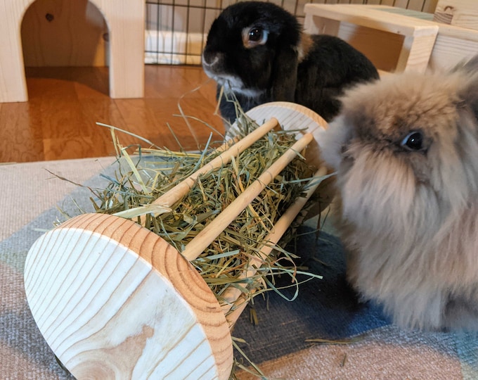 Large Hay Roller for Rabbits/guinea Pigs - Etsy