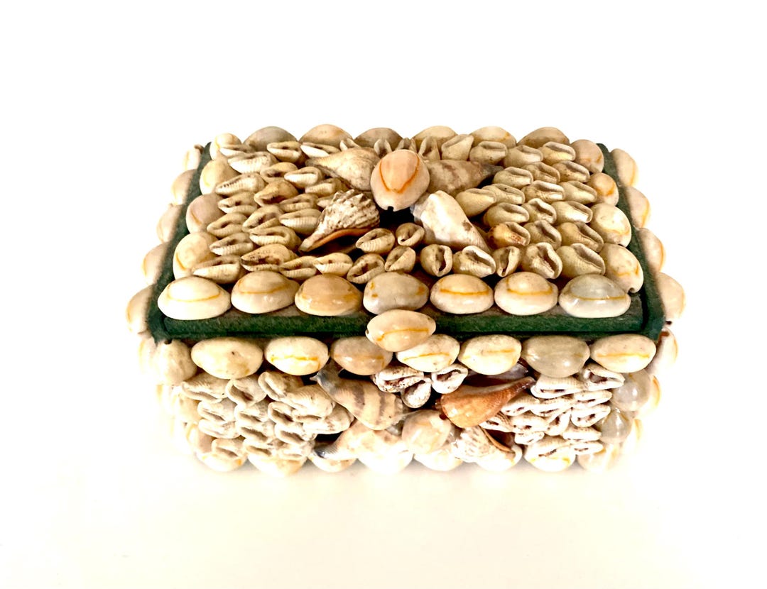 Vintage Sea Shell Box Set. Collection. Coastal Beach Cottage Home ...