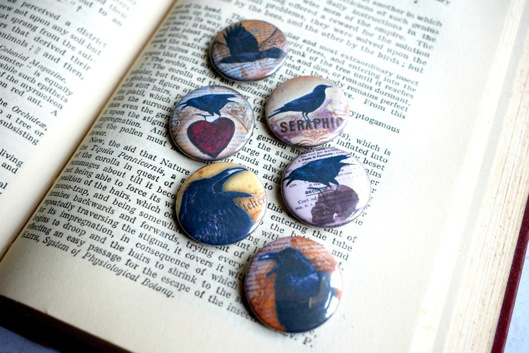 Crow and Raven Pin Badges: Gothic Bird Badge Set - Etsy