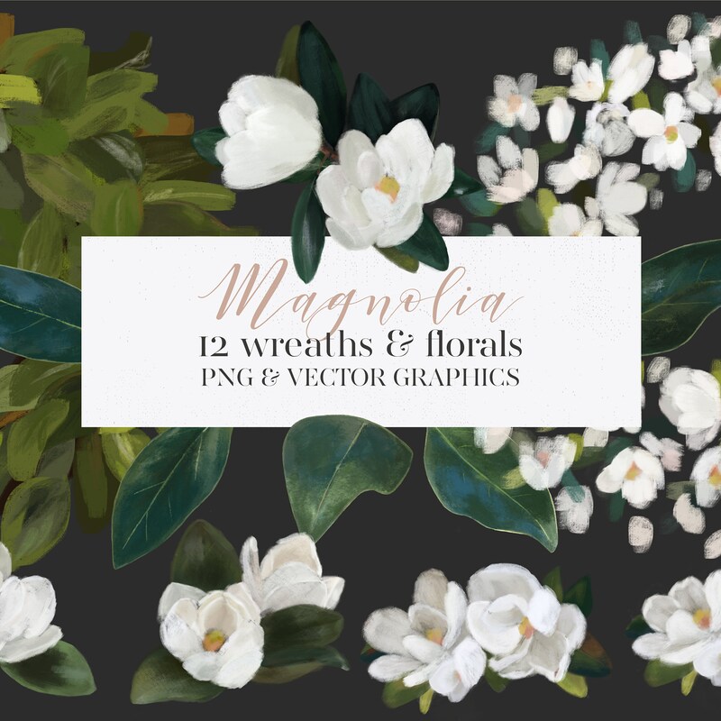 Magnolia Vector - Etsy
