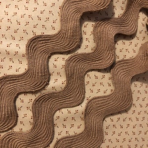 Ric Rac Jumbo Light Taupe Color 054-836 - Etsy