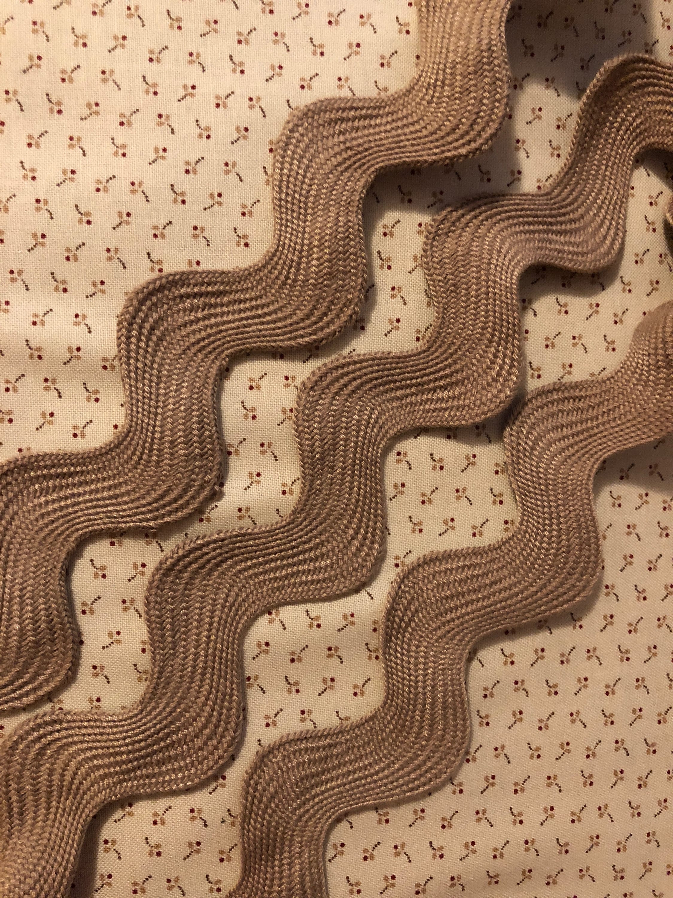 Ric rac jumbo light taupe color 054-836 | Etsy