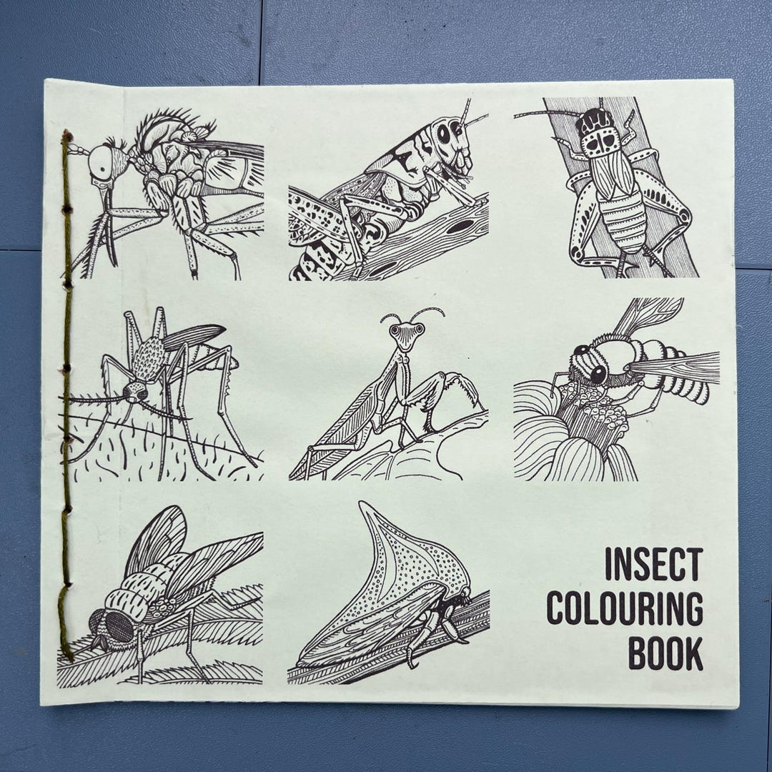 Insect Colouring Book - Etsy