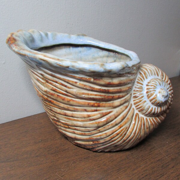 Conch Shell Planter - Etsy
