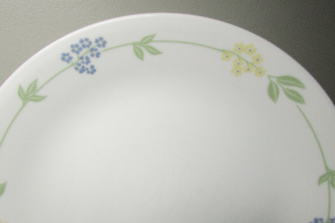 Corelle Secret Garden Pattern Dinner Plate 10 Corning - Etsy