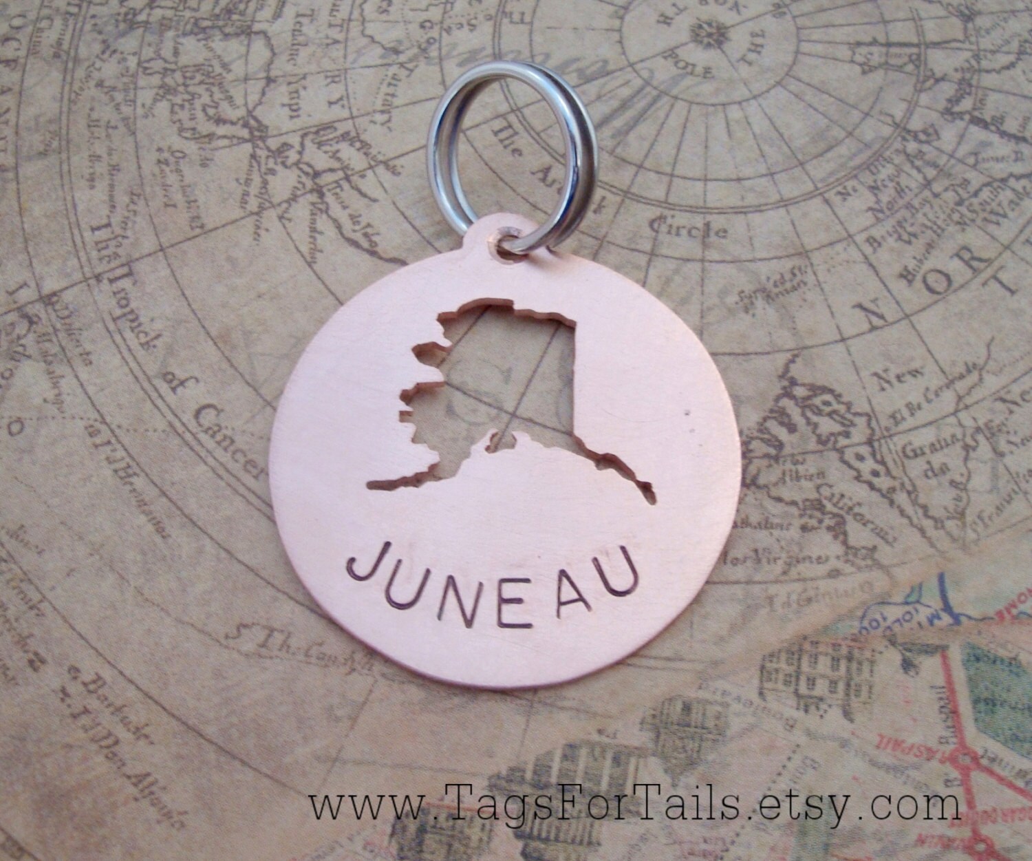 Alaska State Pet Tag Cut Out Style Choose Any State | Etsy