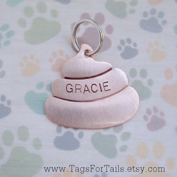 Poop Keychain - Etsy