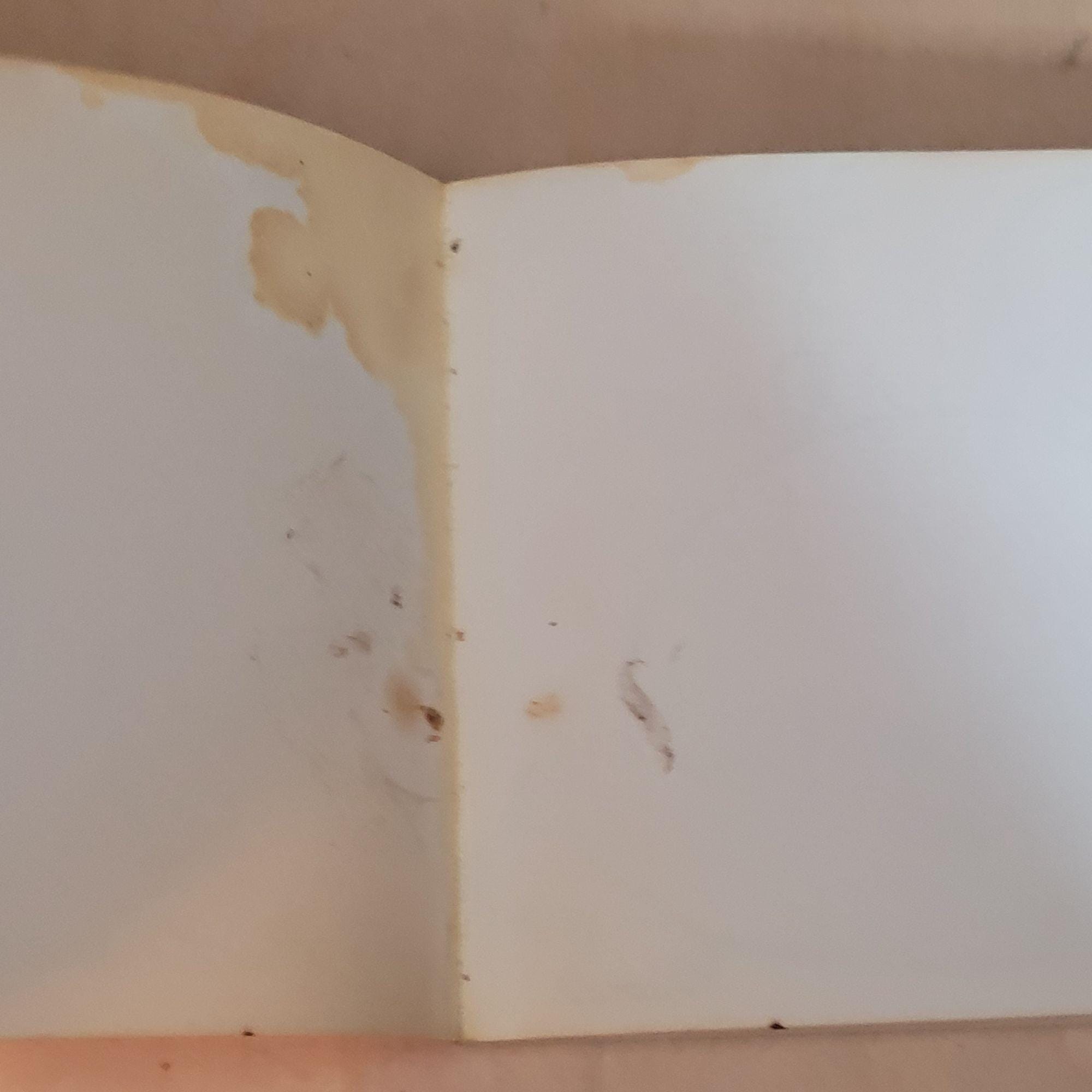 Hippo Cook Book Hippopotamus Hamburger Cookbook Paperback 1969 Jack ...