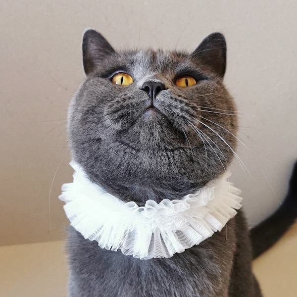Ruff Collar - Etsy