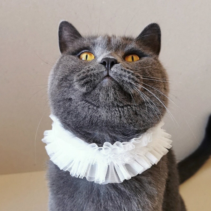 Ruffle Collar - Etsy