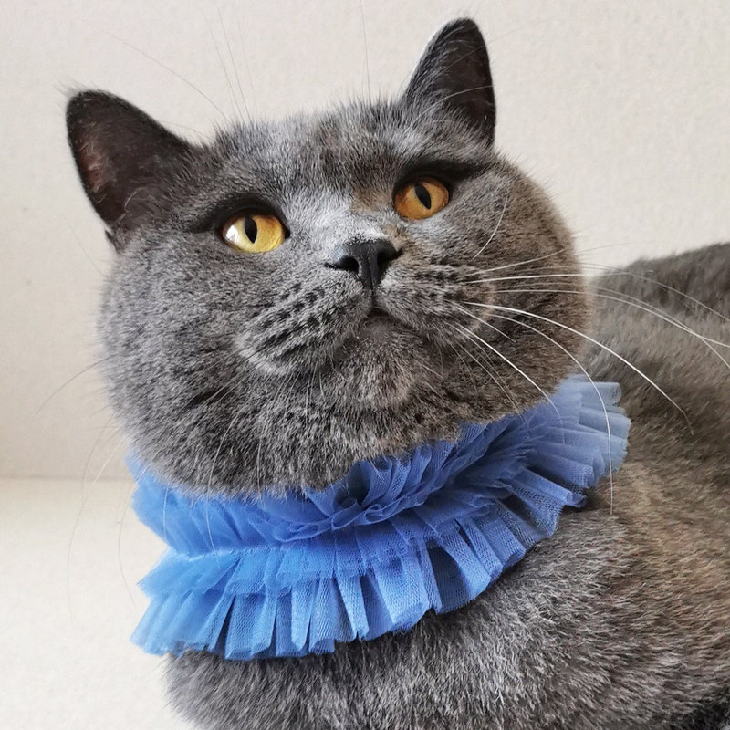 Clown Collar - Etsy