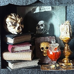 Miniature Gothic Thematic Library " the Vampires" - Etsy