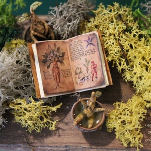 Dollhouse Miniature Mandrake Open Book With Leather Cover - Etsy