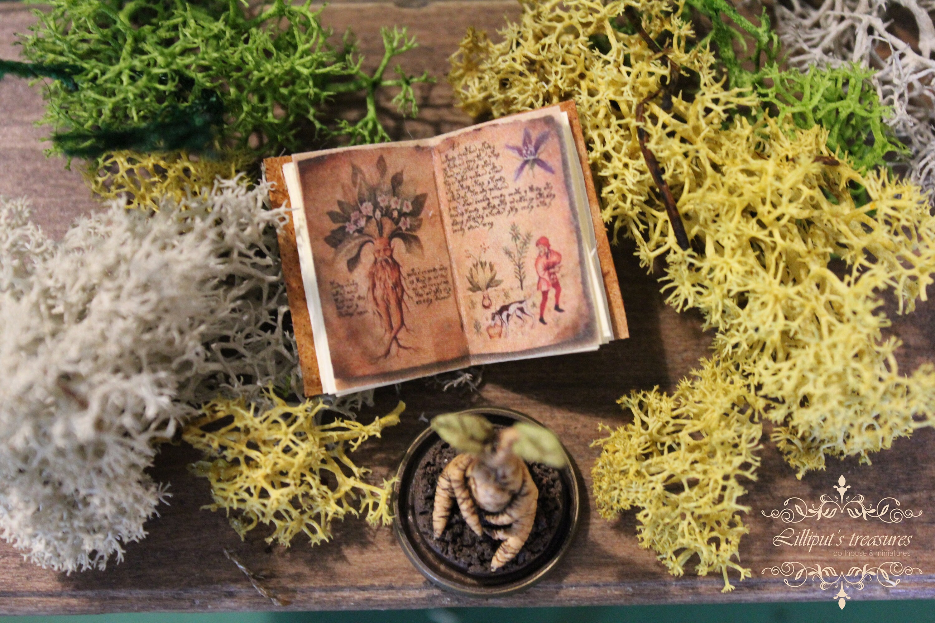 Dollhouse Miniature Mandrake Open Book With Leather Cover - Etsy