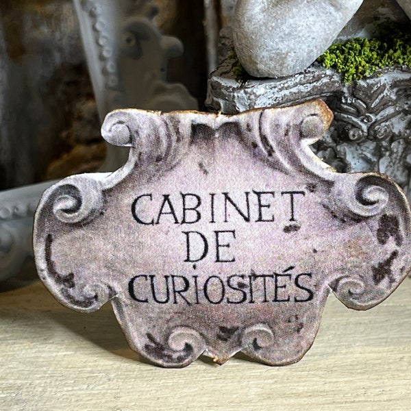 Curiosity Cabinet Miniature - Etsy