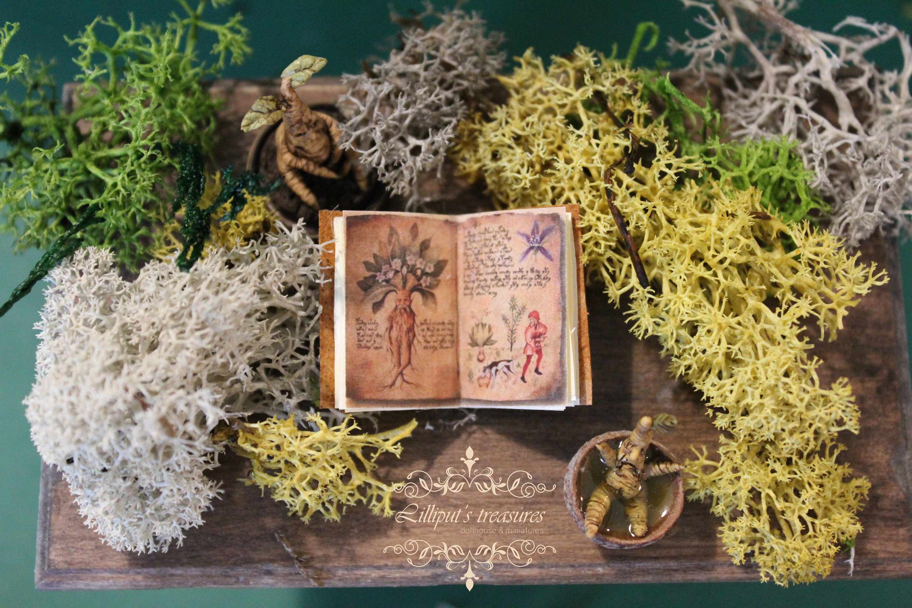 Dollhouse Miniature Mandrake Open Book With Leather Cover - Etsy