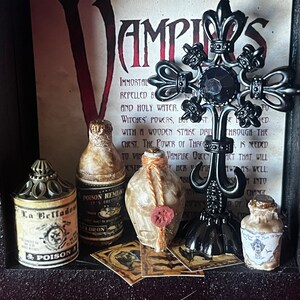 Miniature Gothic Thematic Library " the Vampires" - Etsy
