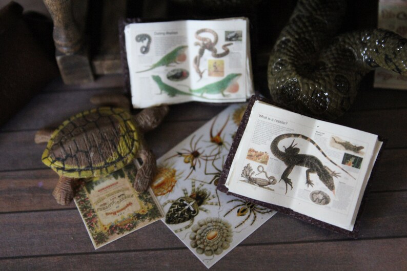 Dollhouse Miniature Amphibians and Reptiles Open Book With Leather ...