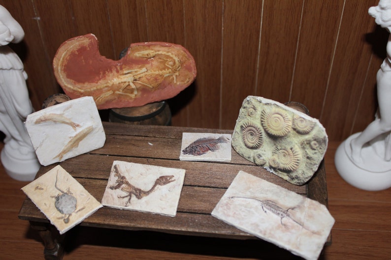 Miniature Find Fossil - Etsy