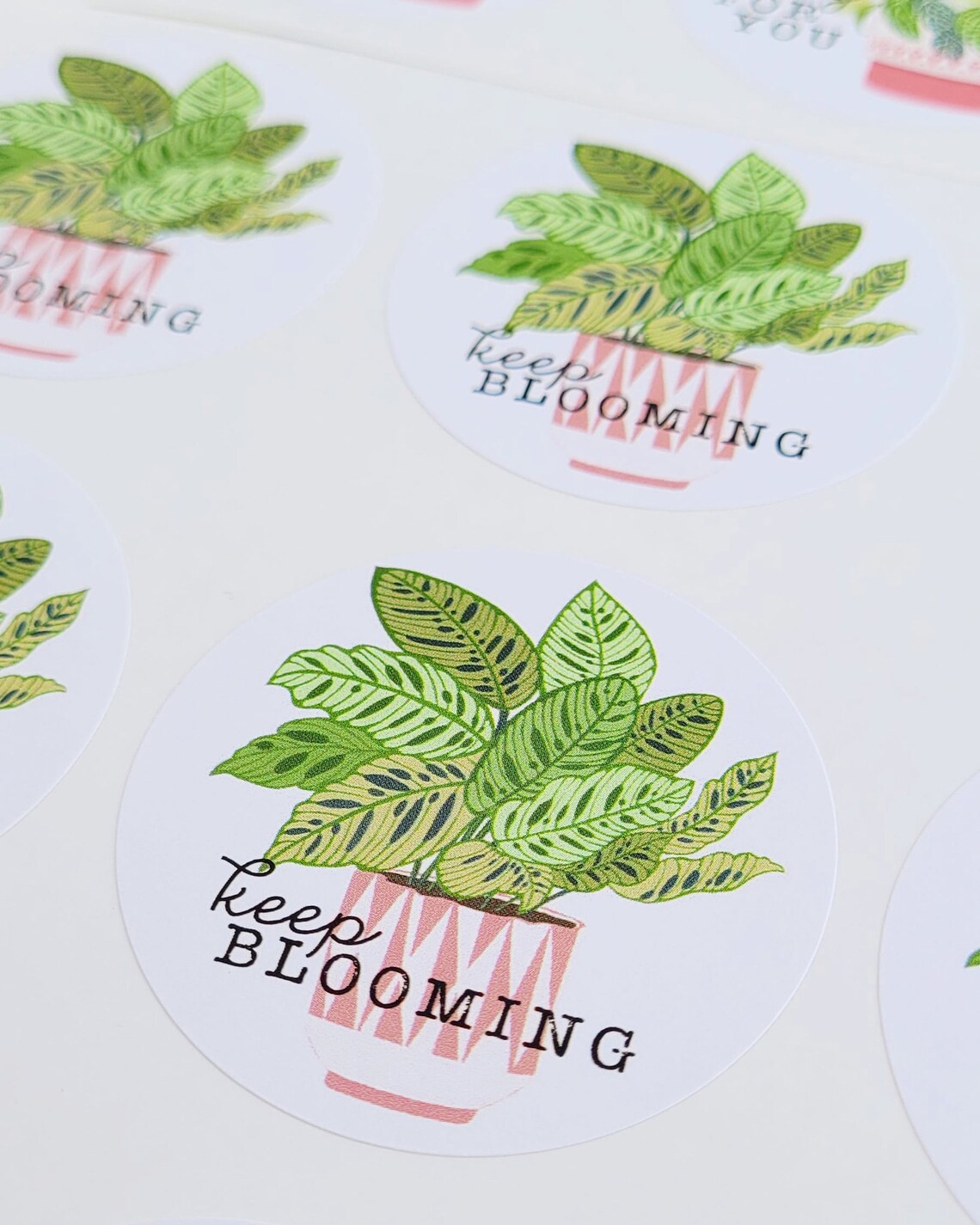 Simply Plants 2 Inch Circle Stickers SET OF 20 - Etsy