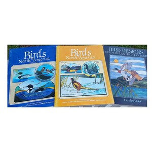 Stained Glass Pattern Book, Traditional Bird Designs in Nature ...