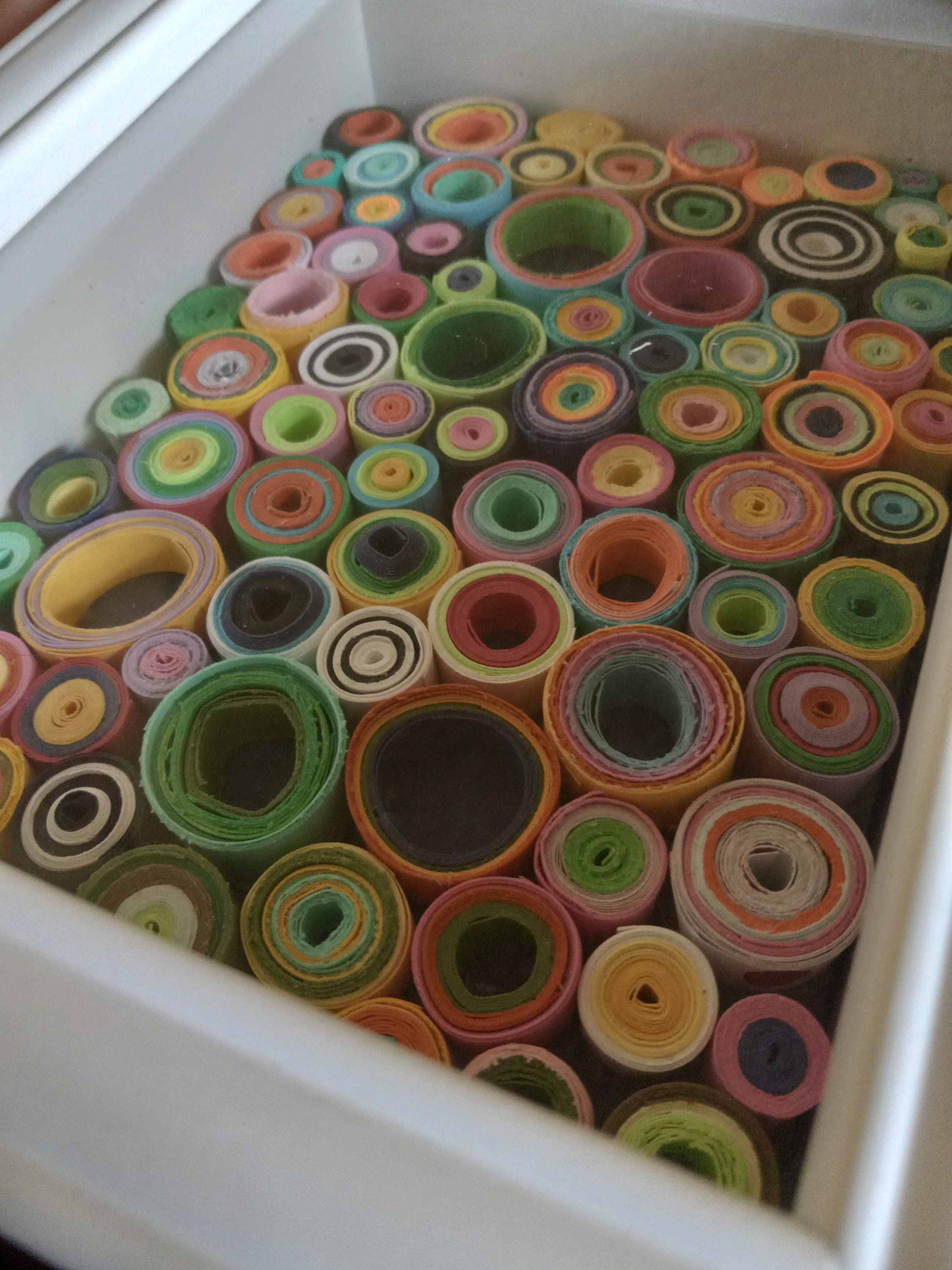 Paper Cells Shadow Box - Etsy