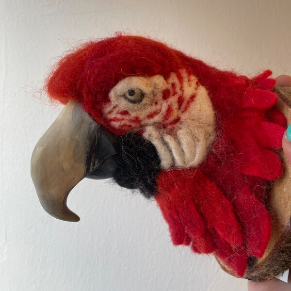 Needle Felted Parrot - Etsy