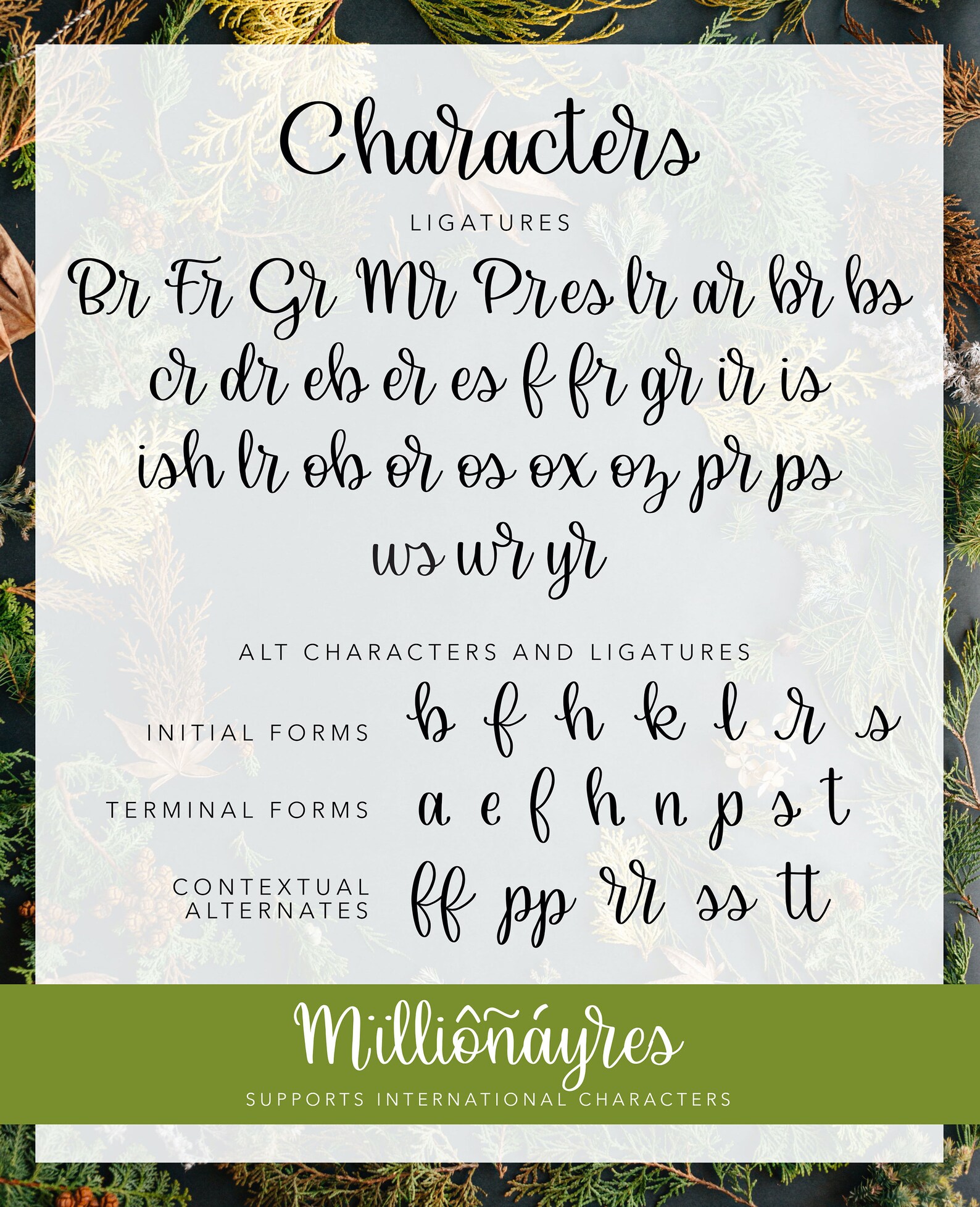 Millionayres Script Font Personal Use - Etsy