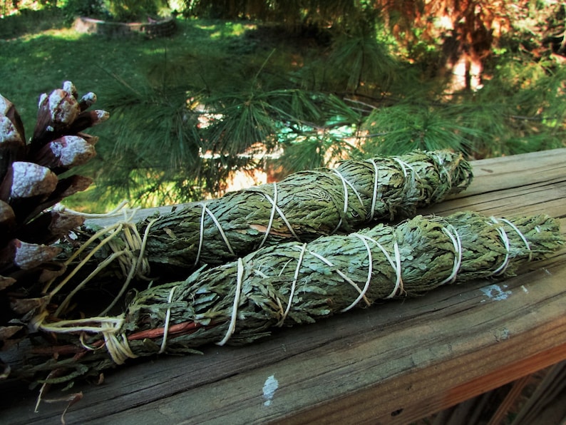 Cedar Bundle~ Ethically Wildcrafted, Wrapped With Hemp, California ...