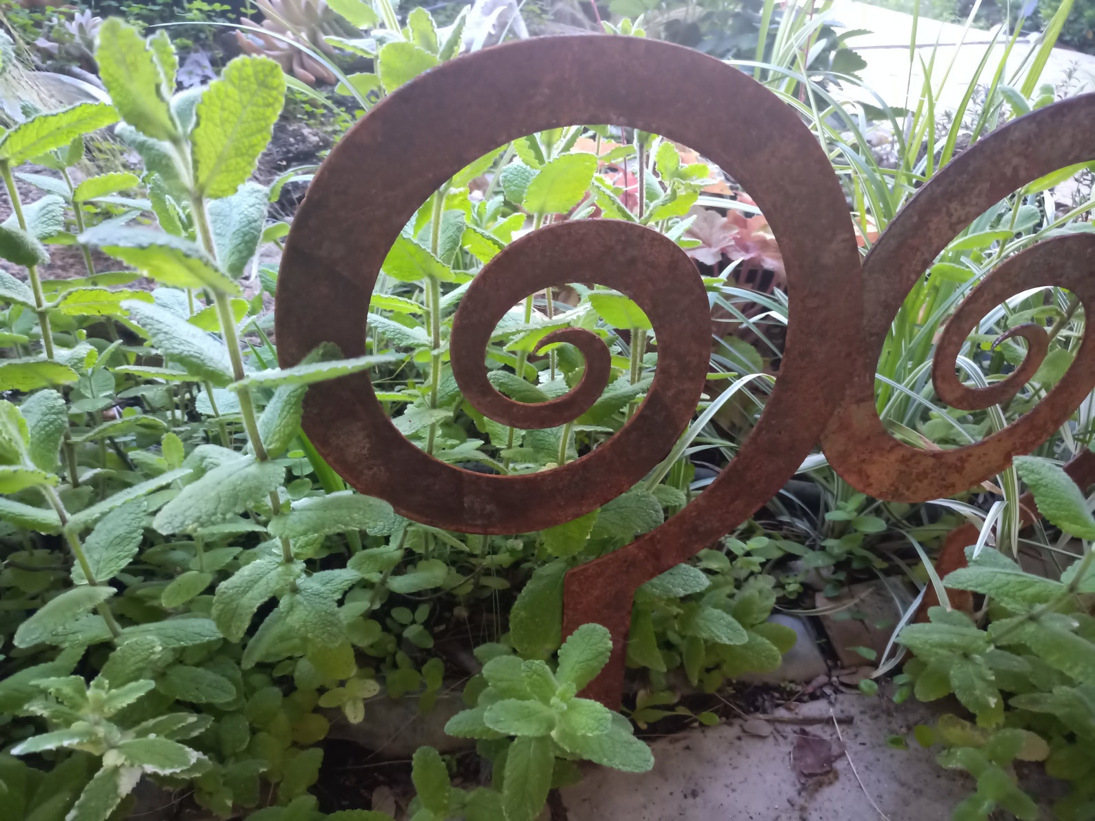 Large Steel Spiral Garden Stake, Rustic Edging Decor (9 Inch) - Etsy