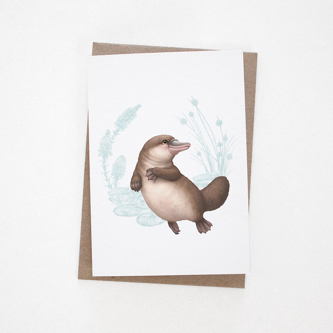 Platypus Greeting Card | Australian Animal | Blank Greeting Card ...