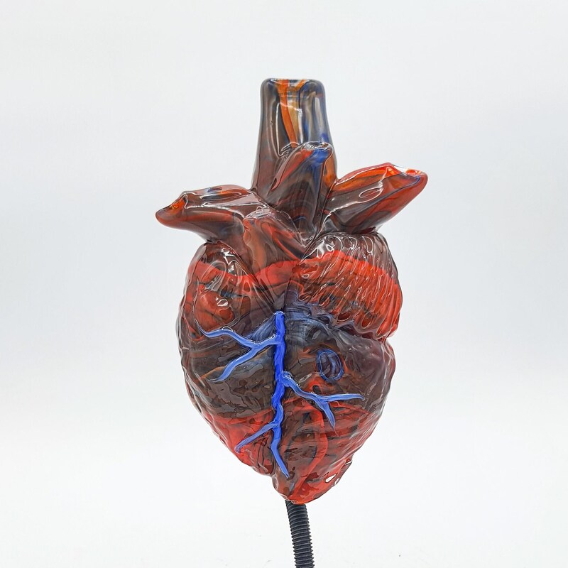 Anatomical Heart Art - Etsy