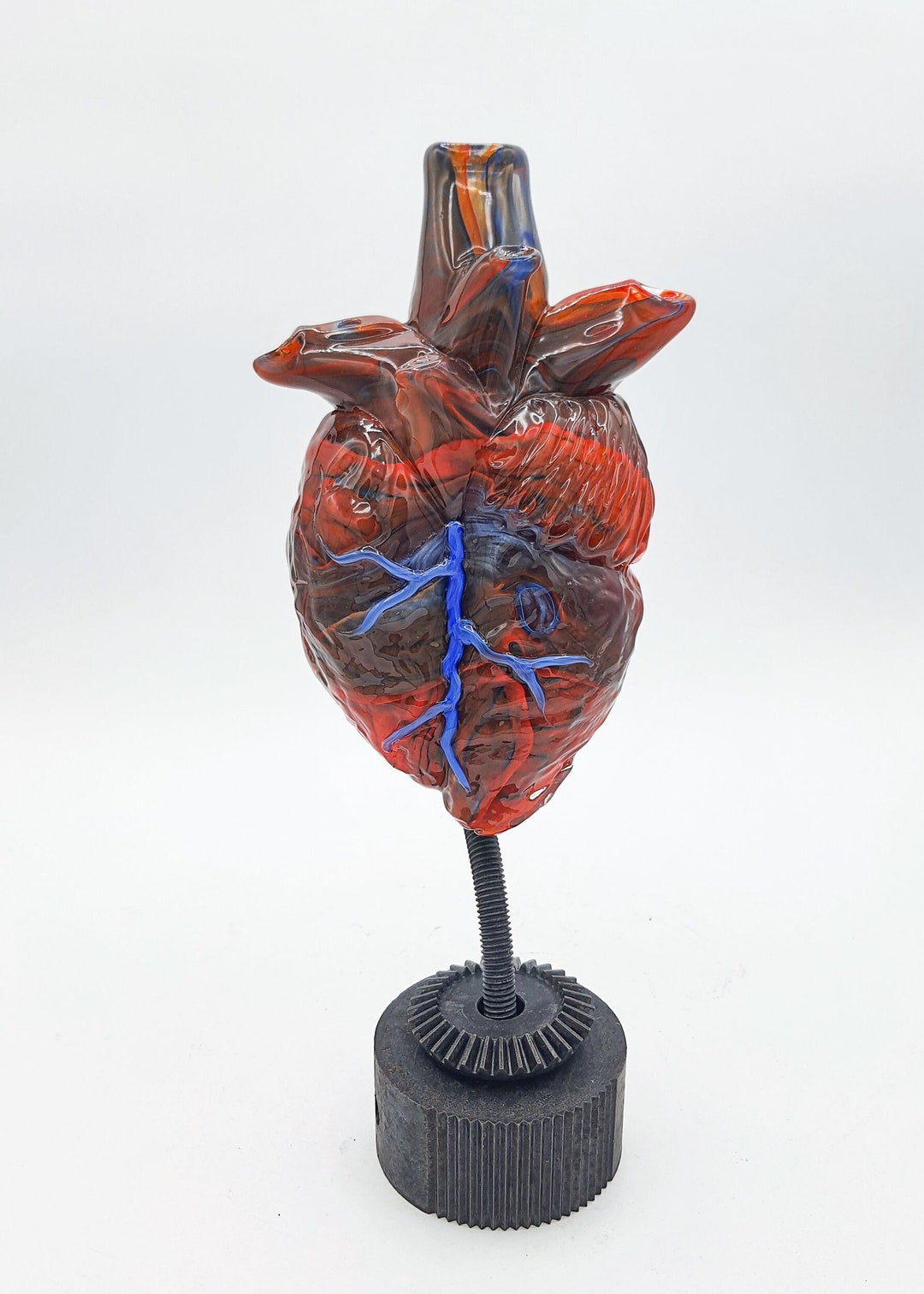 Anatomical Blown Glass Heart - Etsy