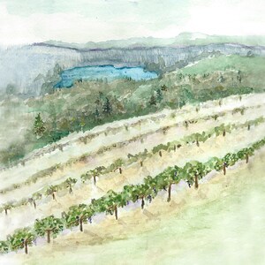 Vineyard Mountain Landscape Artwork Print From Original Watercolor ...