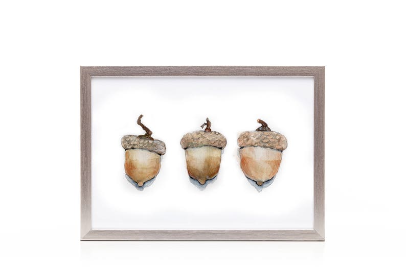 Fall Floral Fall Foliage Acorn Watercolor Print Simple - Etsy