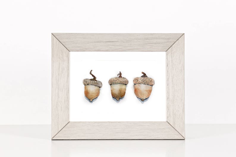 Fall Floral Fall Foliage Acorn Watercolor Print Simple - Etsy