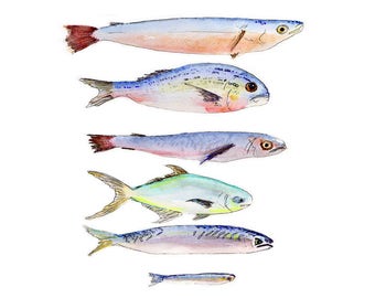 Saltwater Fish Art - Etsy