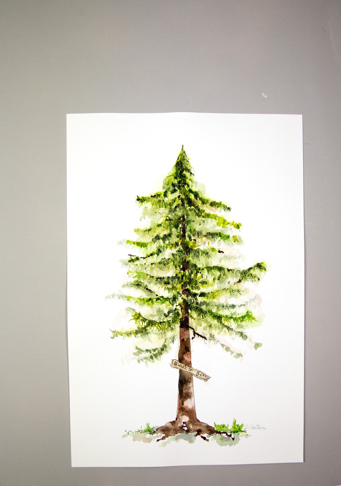 Evergreen Print Watercolor Tree Art Pine Tree Watercolor - Etsy