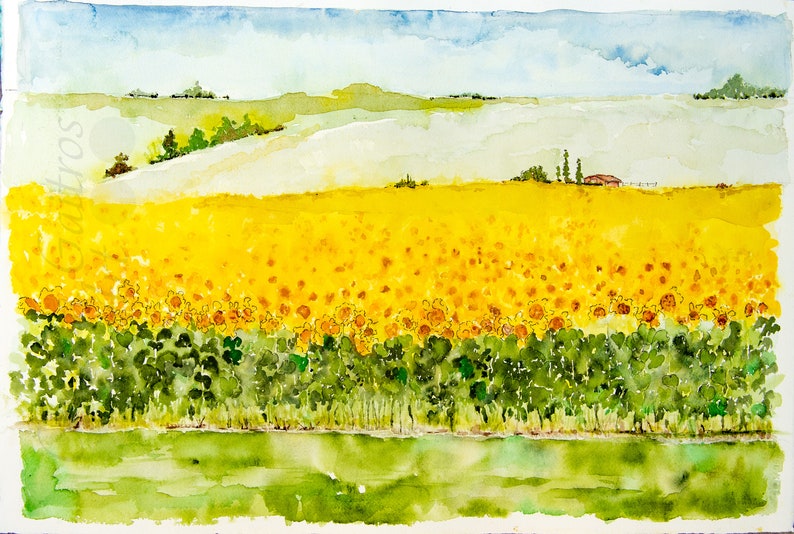 Sunflower Field Watercolor Art Print Country Farmhouse Yellow - Etsy