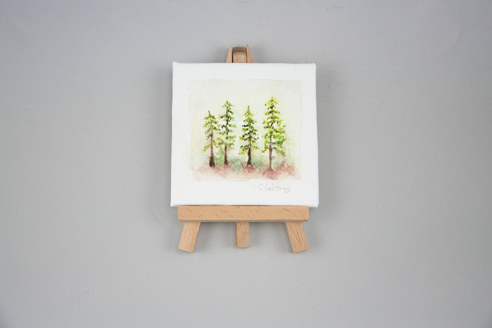 Miniature Pine Tree Watercolor Art Print With Easel. Boxed Gift Ready ...