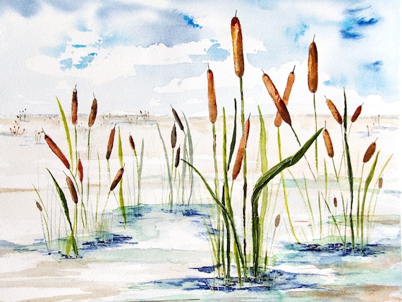 Wetland Cattails