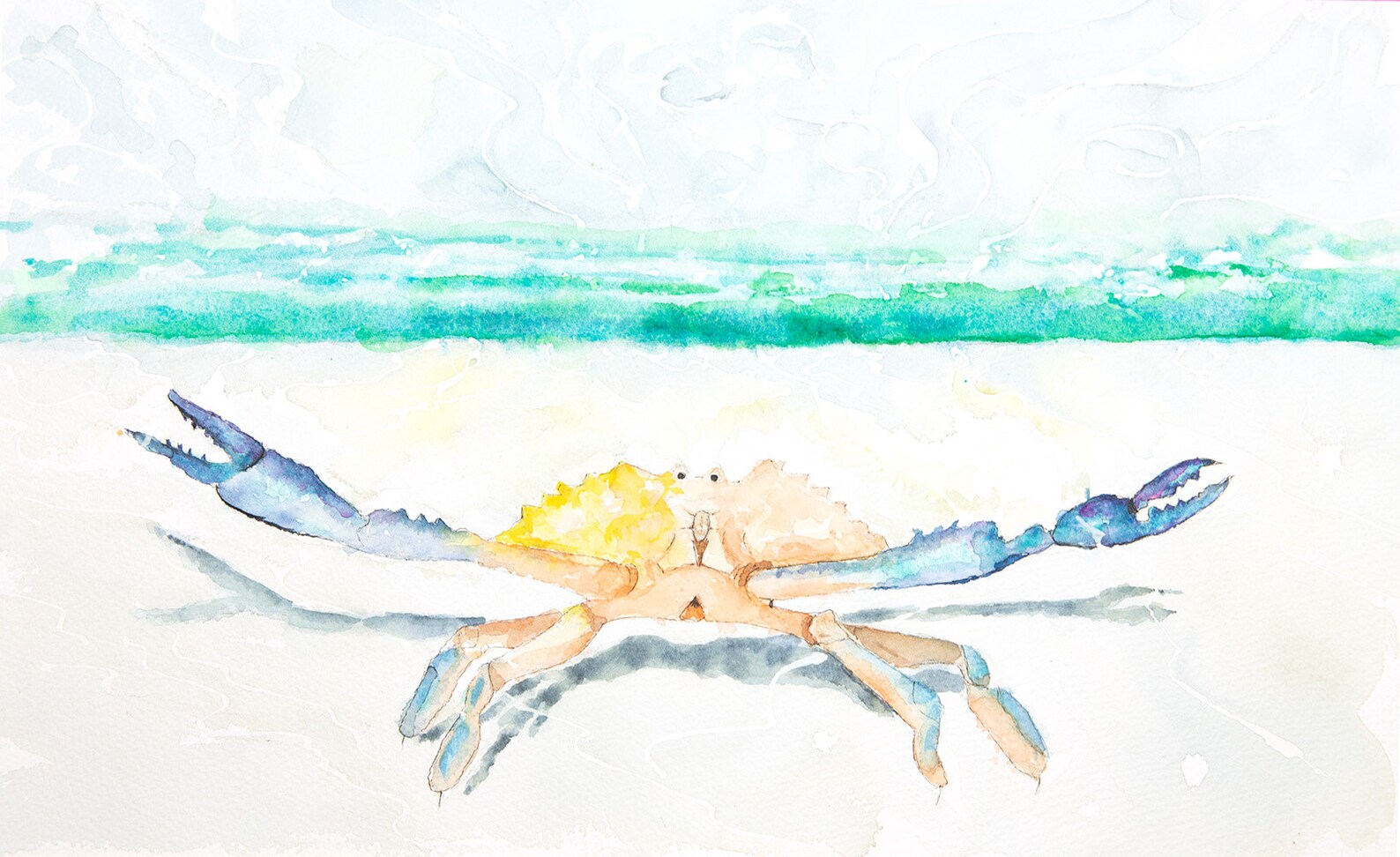 Watercolor Crab Art Print Florida Beach Crab Painting - Etsy