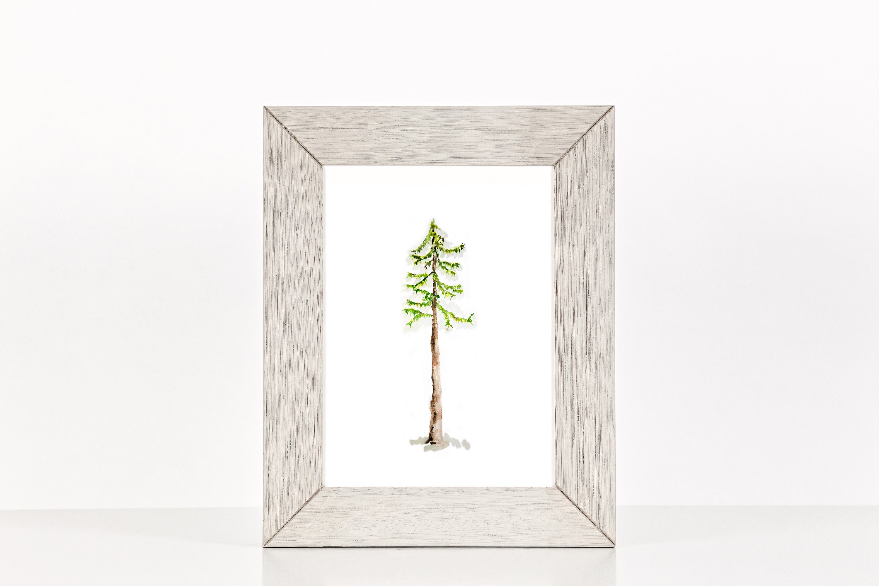 Simple Art Watercolor Evergreen Tree Print Fir Tree | Etsy