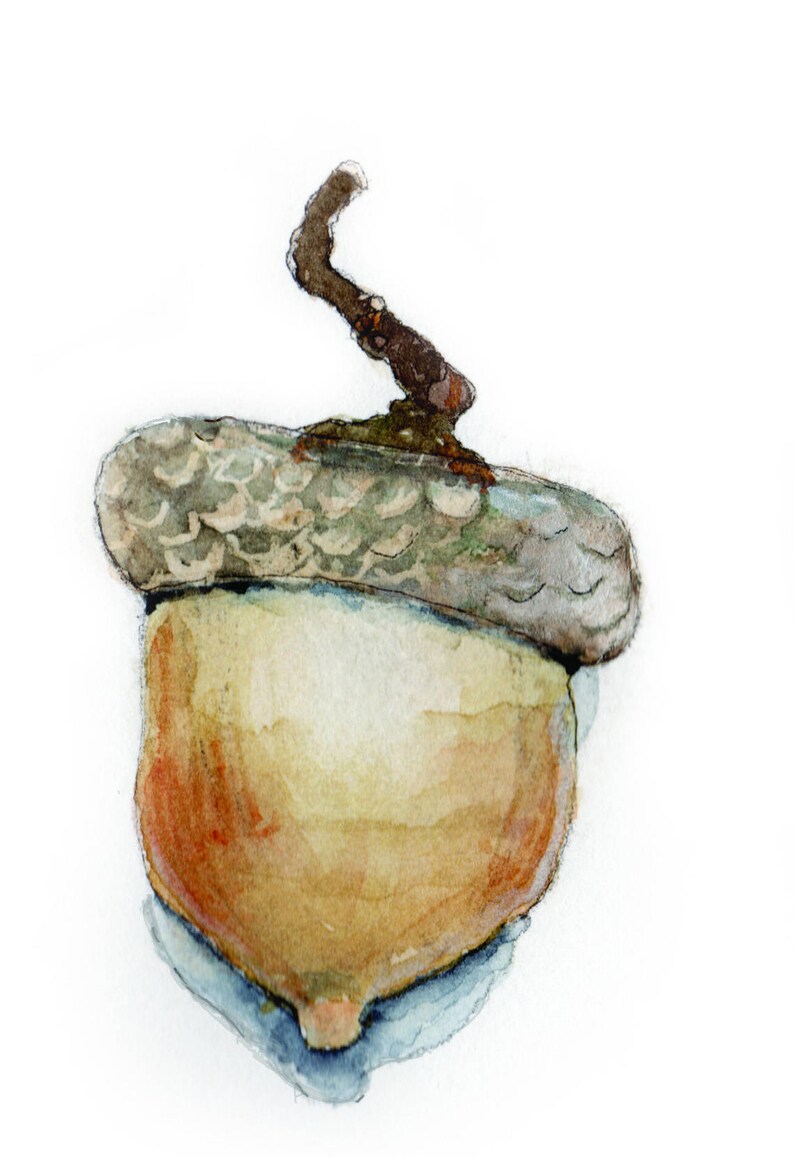Fall Floral Fall Foliage Acorn Watercolor Print Simple - Etsy